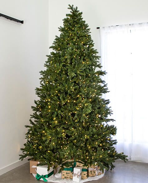 9' Indoor LED Sacred Fir Christmas Tree - Warm White – Treedrop